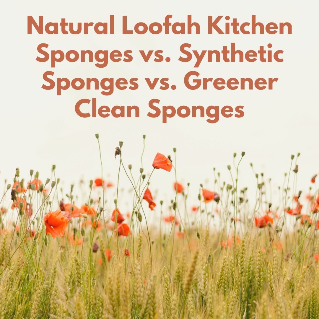 Natural Loofah Kitchen Sponges vs. Synthetic Sponges vs. Greener Clean ...