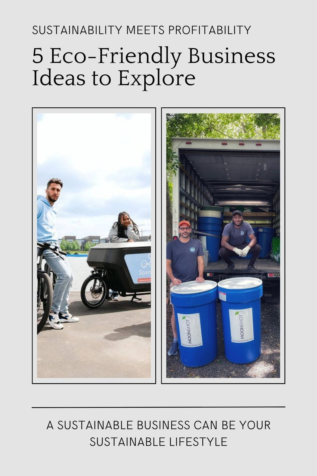 Sustainability Meets Profitability: 5 Eco-Friendly Business Ideas to E ...