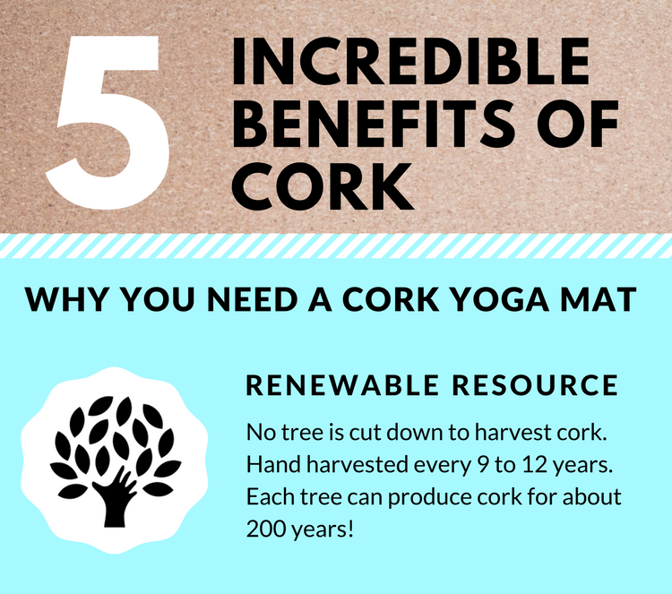 5 INCREDIBLE BENEFITS OF CORK - Why you need a cork yoga mat! – Gaia Guy