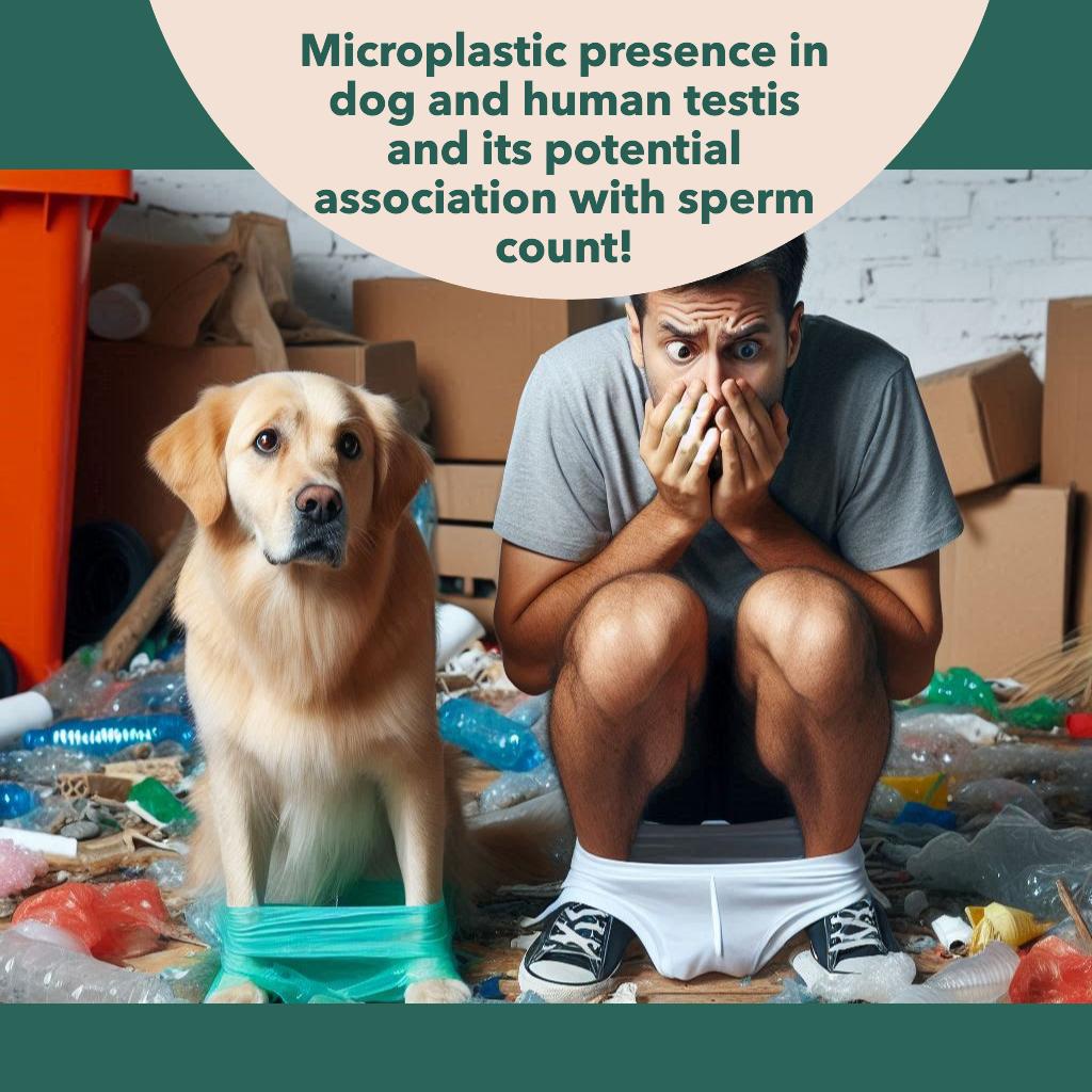 Microplastics Found in Every Human Testicle: Study Reveals Possible Li ...