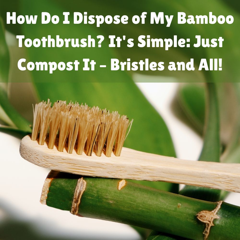 How to Compost Your Bamboo Toothbrush | Gaia Guy