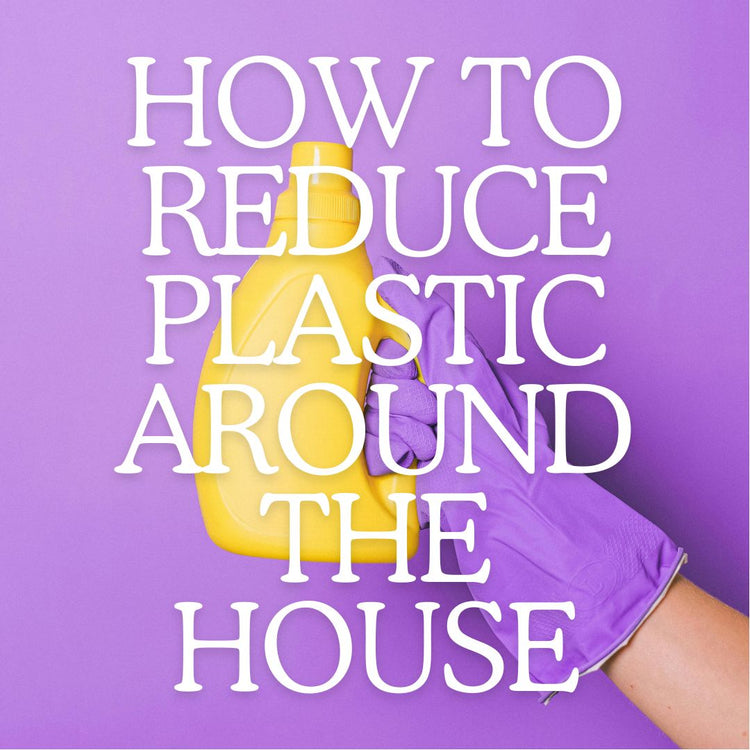 How to Reduce Plastic Around the House – Gaia Guy