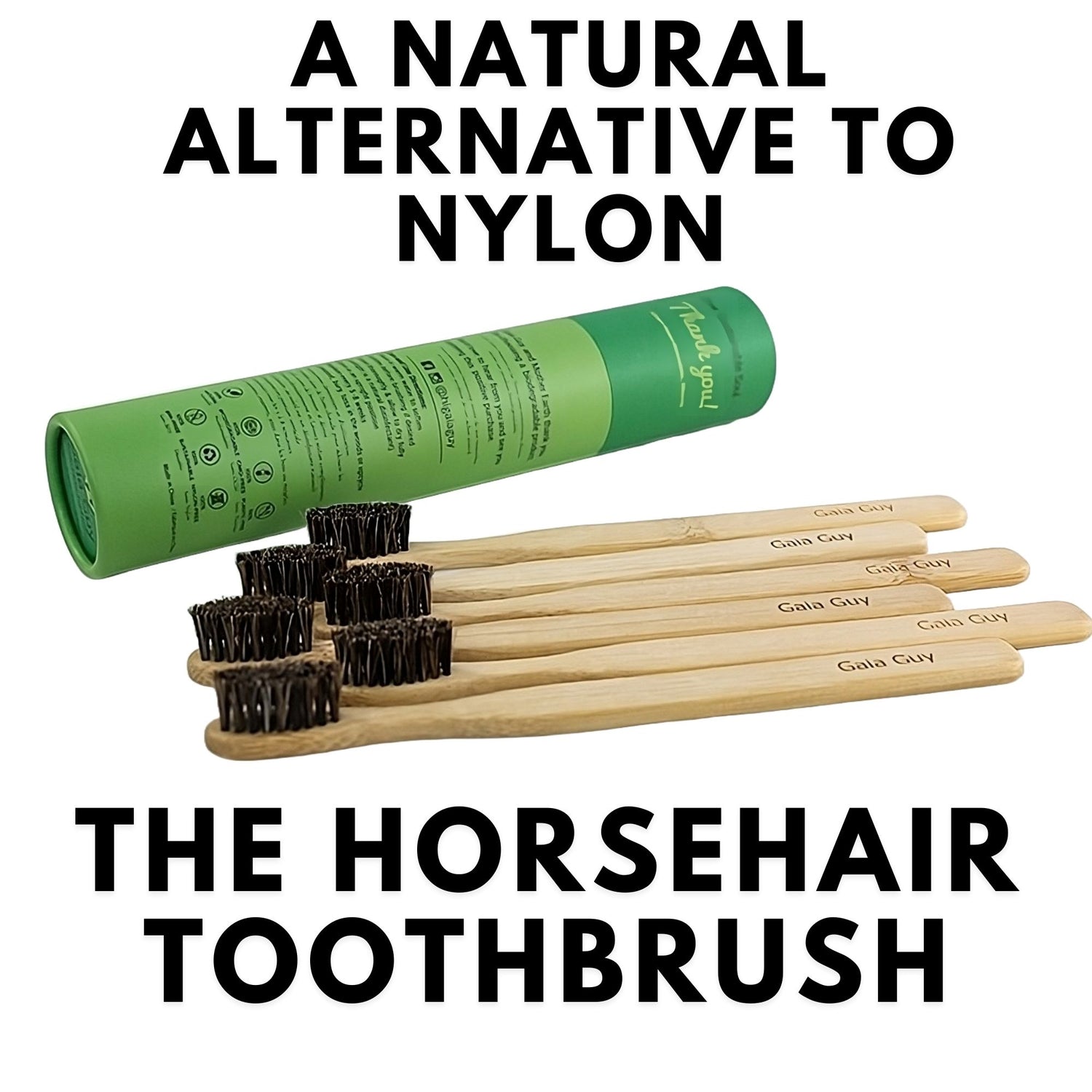 The Return of the Horsehair Toothbrush: A Natural Alternative – Gaia Guy