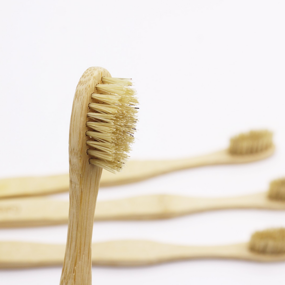 Boar Bristle Bamboo Toothbrush - Totally Biodegradable No Nylon Toothb ...
